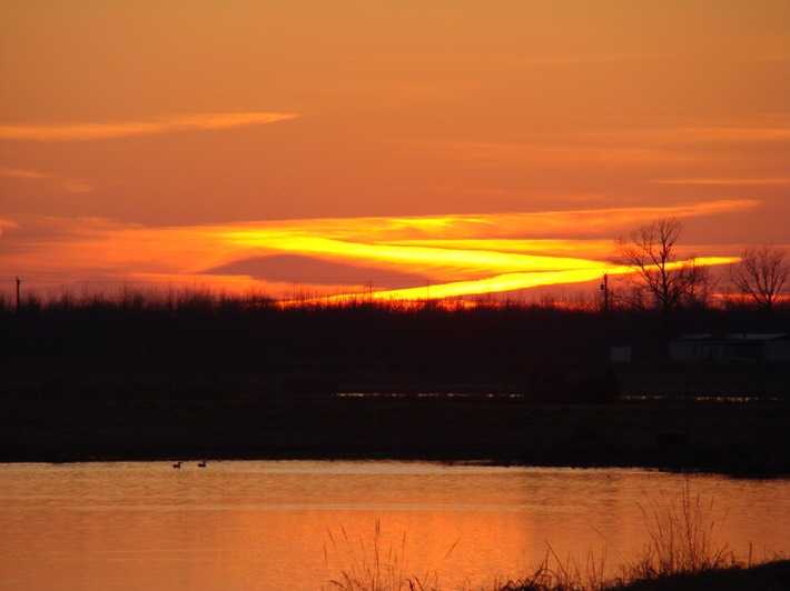 Coldwater River NWR, MS | Brad Glorioso’s Personal Website Amphibians ...